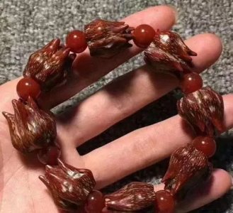 肉莲法器 用处（肉莲法器 用处大不大） - 沐美网